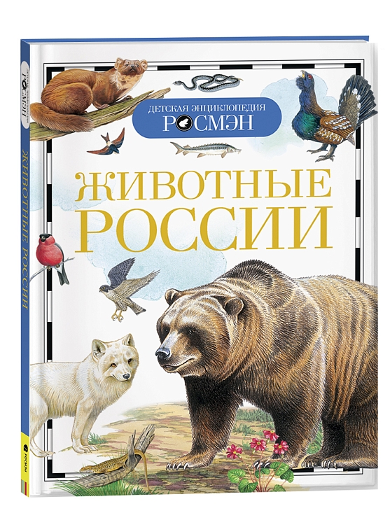 Животные России. Детская энциклопедия РОСМЭН – купить по лучшей цене на ...
