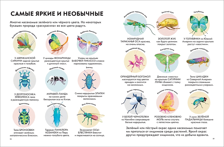Детская энциклопедия насекомых – купить по лучшей цене на сайте ...